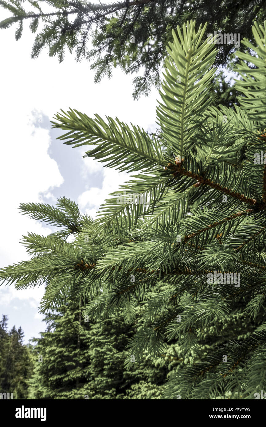 Mono culture hi-res stock photography and images - Alamy