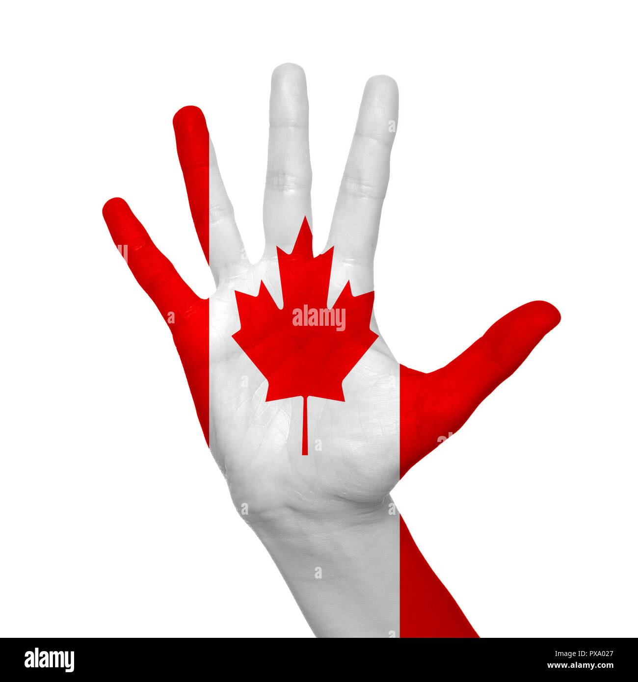 Canada flag painted on hand over white background Stock Photo - Alamy