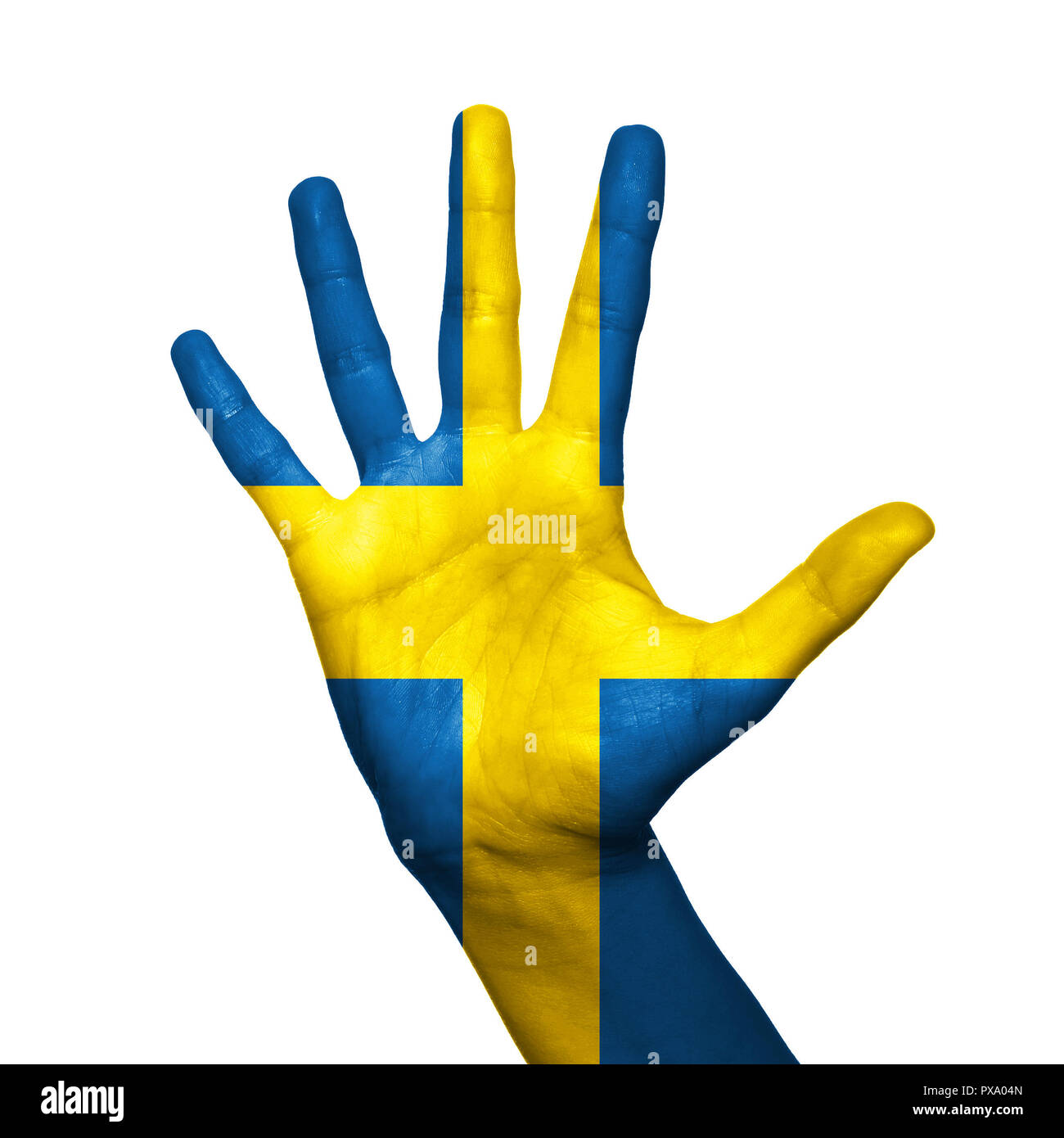 Sweden flag painted on hand over white background Stock Photo - Alamy