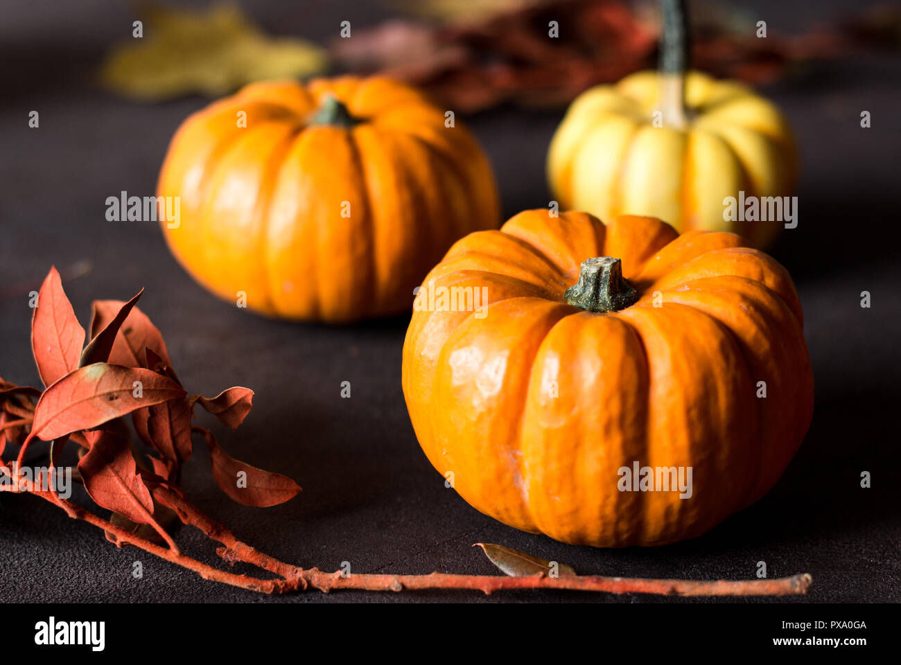 Bright orange mini pumpkins hi-res stock photography and images - Alamy
