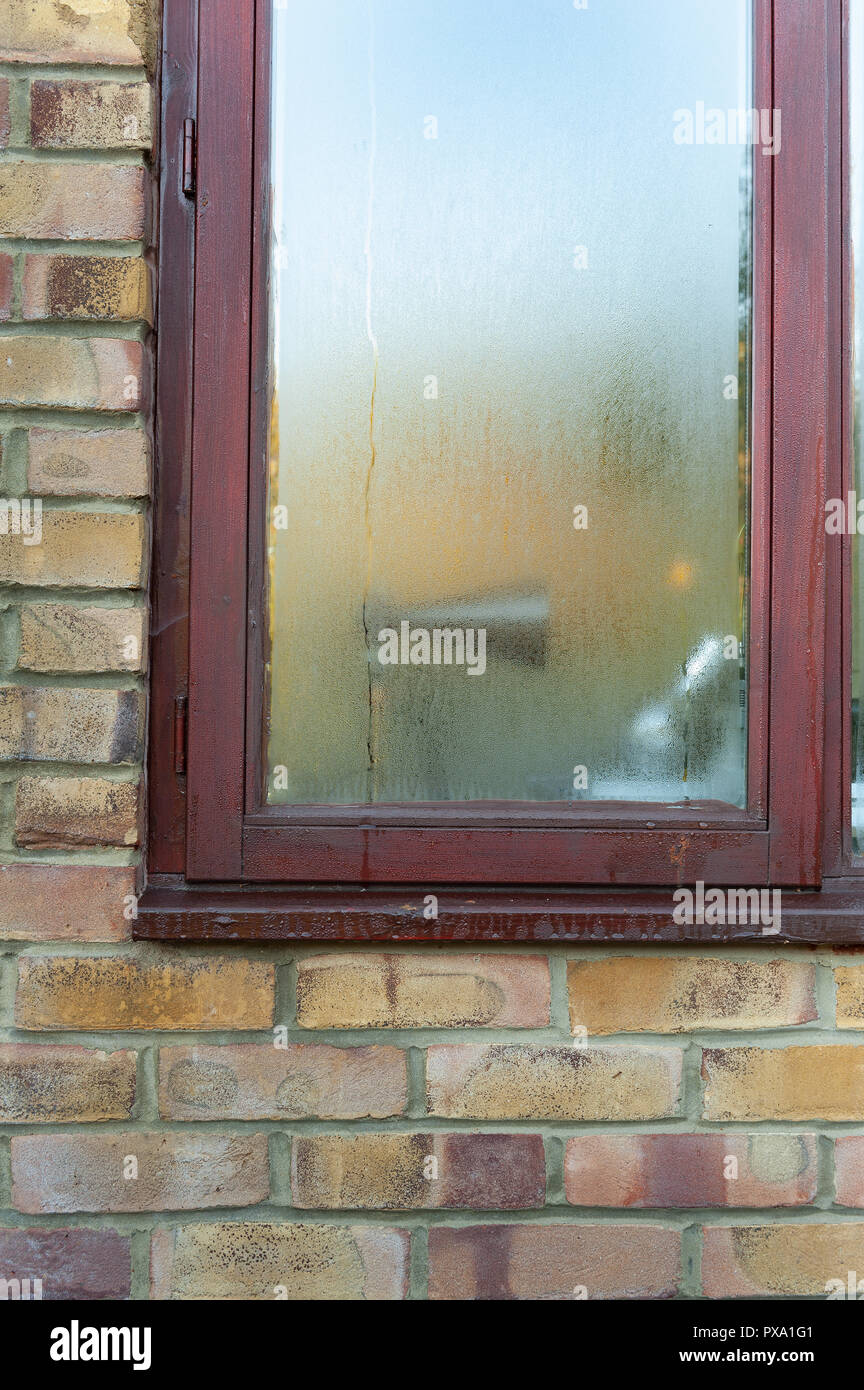 Water condenses on the outside surface of the glass window as the ...
