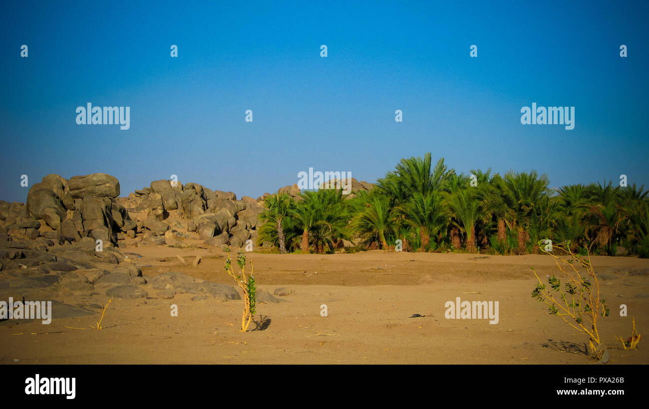 Oasis near Third Cataract of Nile near Tombos in Sudan Stock Photo - Alamy