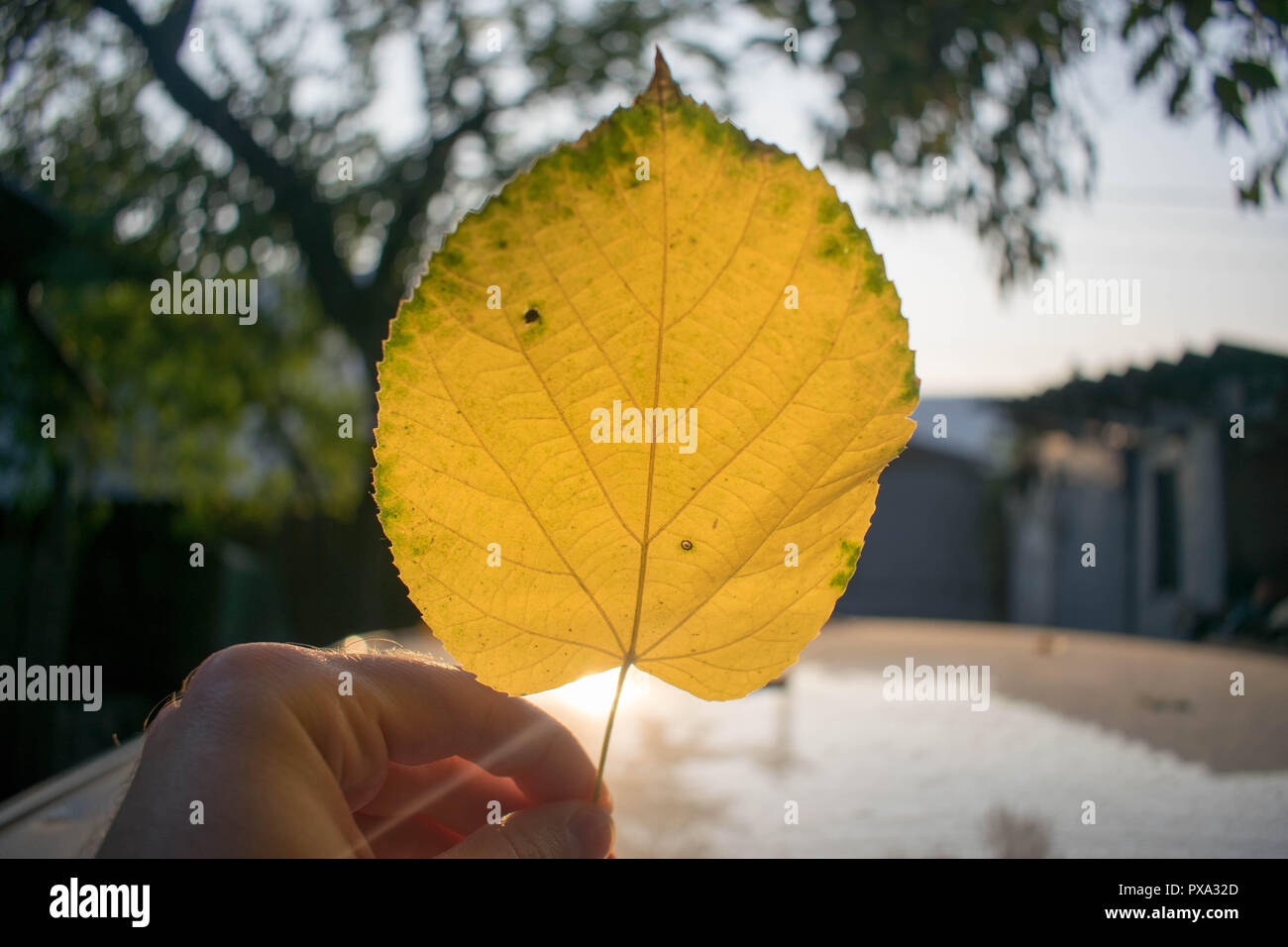 Time visual hi-res stock photography and images - Alamy