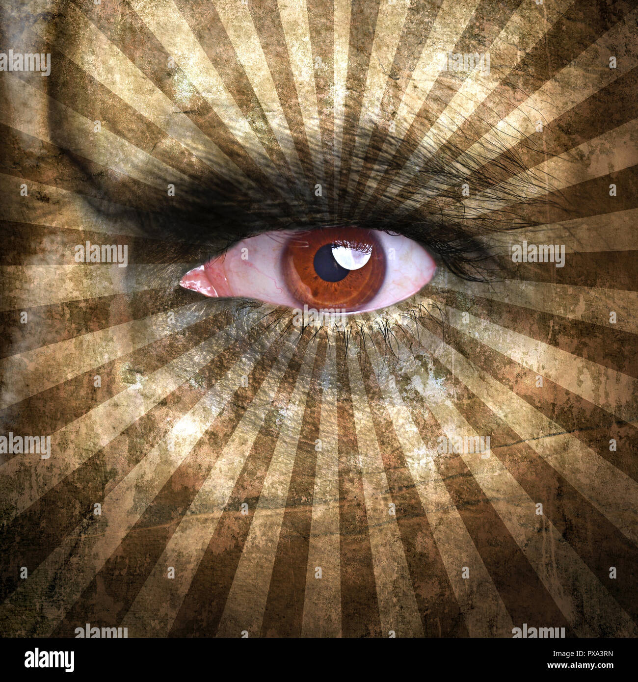 Human face with brown eye covered with stripes Stock Photo - Alamy