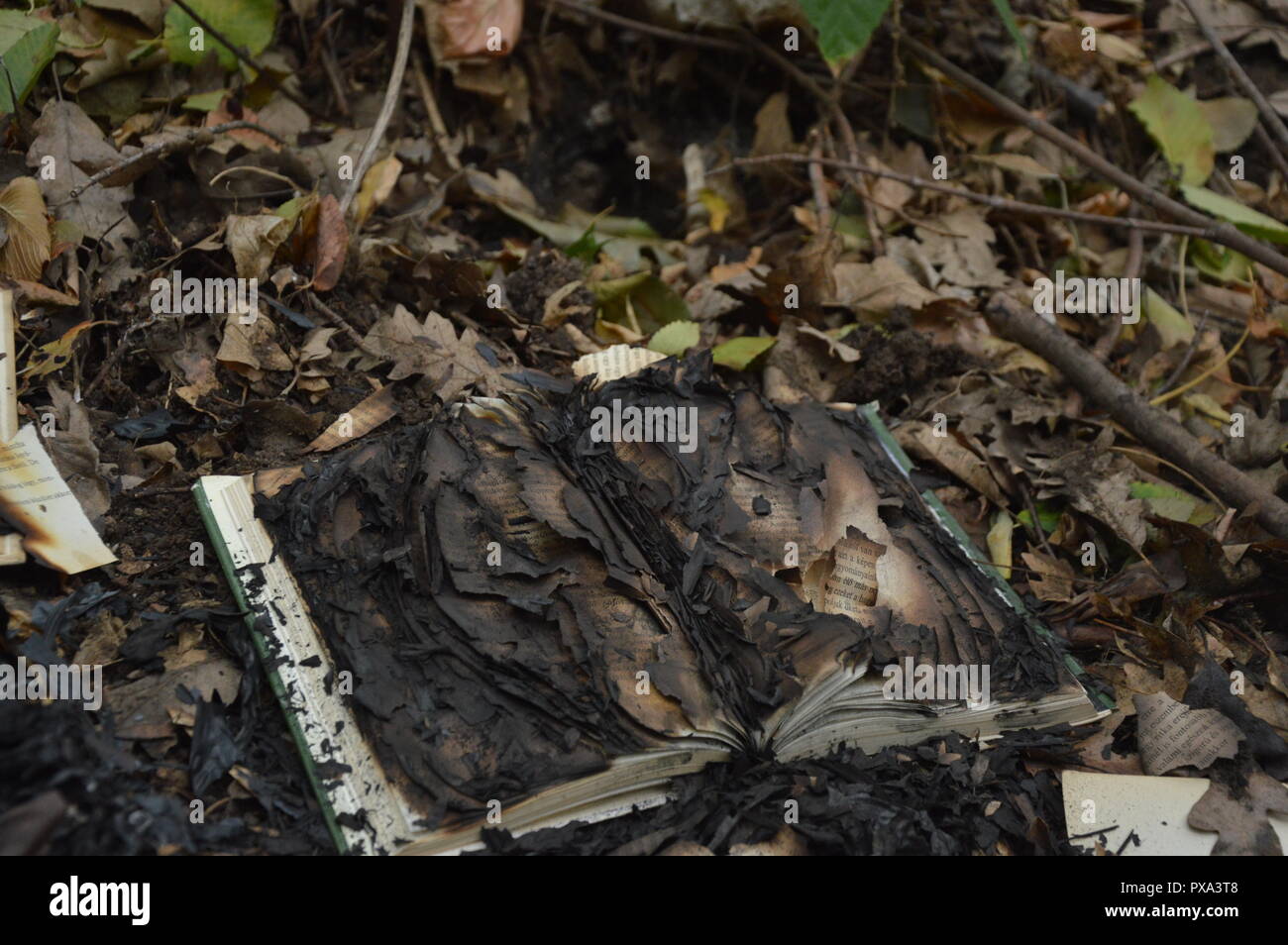 Half burned book on the ground of the forest , ashes cover the sites ...