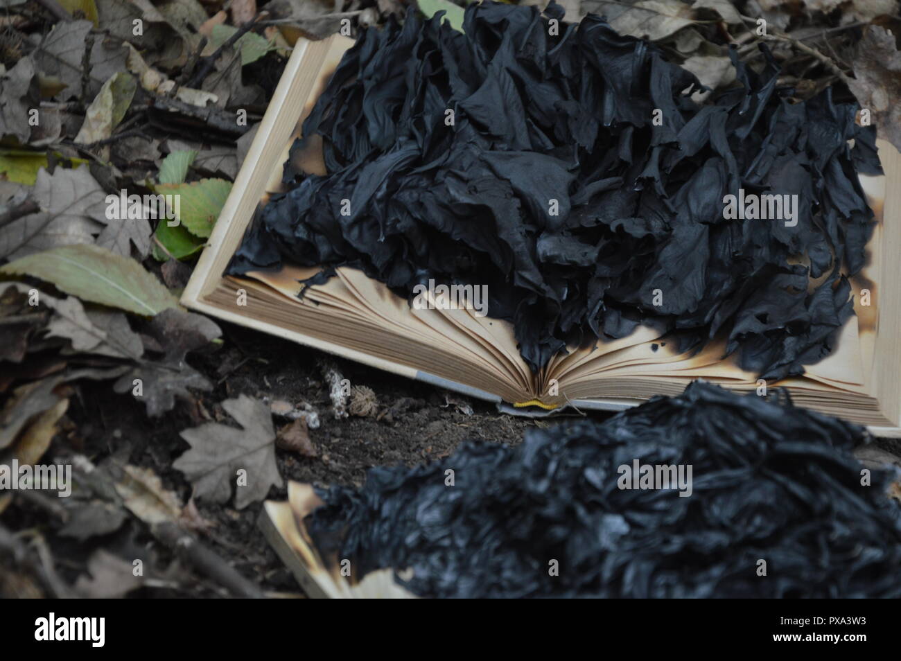 Burned book cover hi-res stock photography and images - Alamy