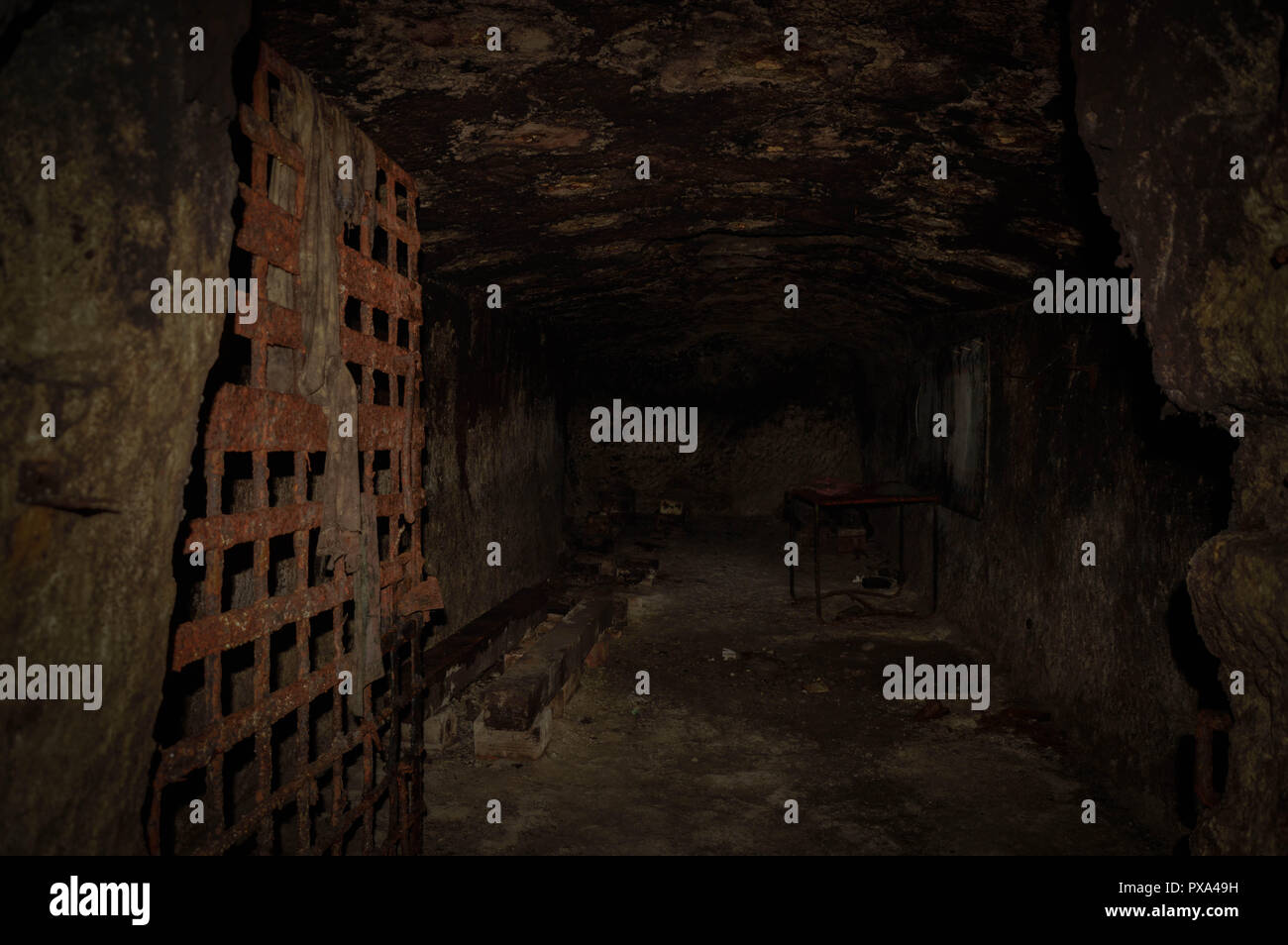 Abandoned cellar with rusty lattice door underground Stock Photo - Alamy