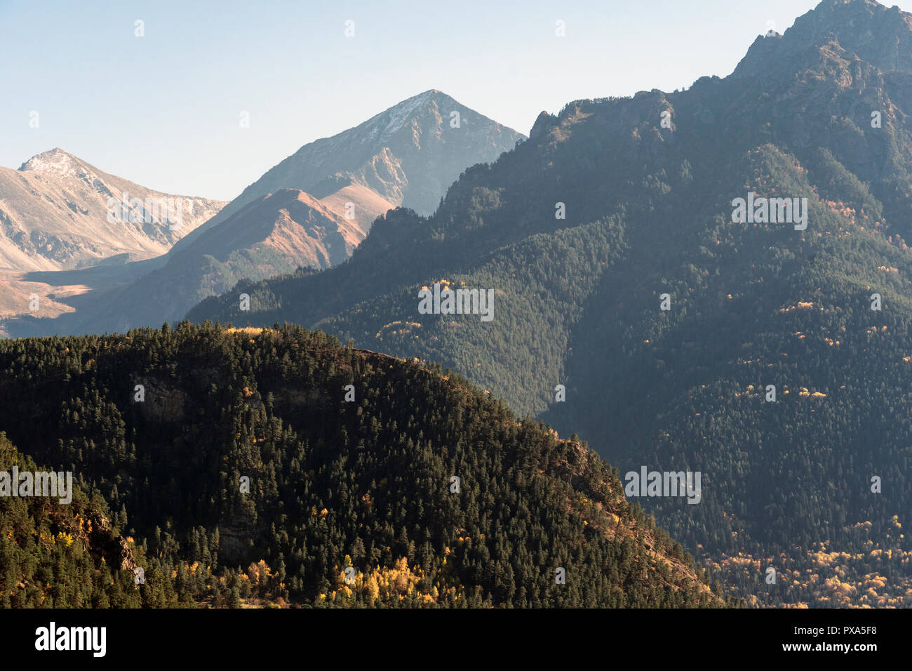 Mountain autumn landscape with colorful forest and rocky peaks. Alpine ...