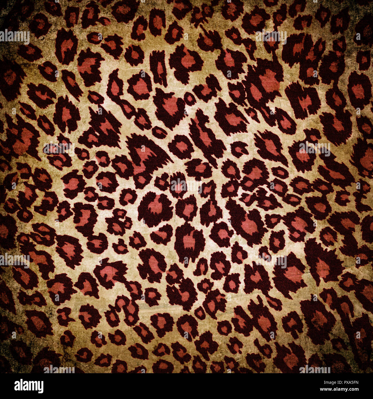 Puma fur pattern hi-res stock photography and images - Alamy