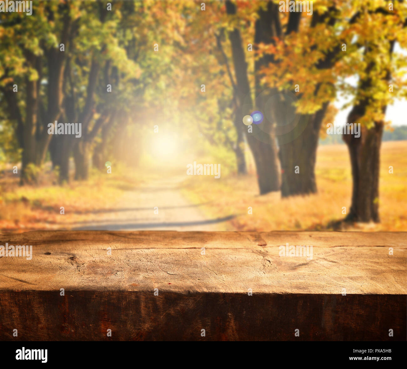 Autumn table for product dsiplays Stock Photo - Alamy
