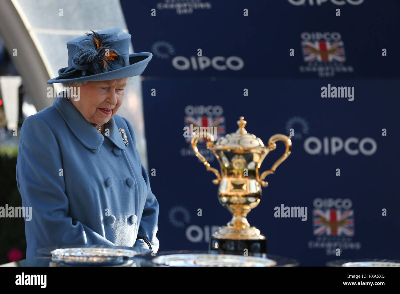 Roaring lion horse ascot hi-res stock photography and images - Alamy