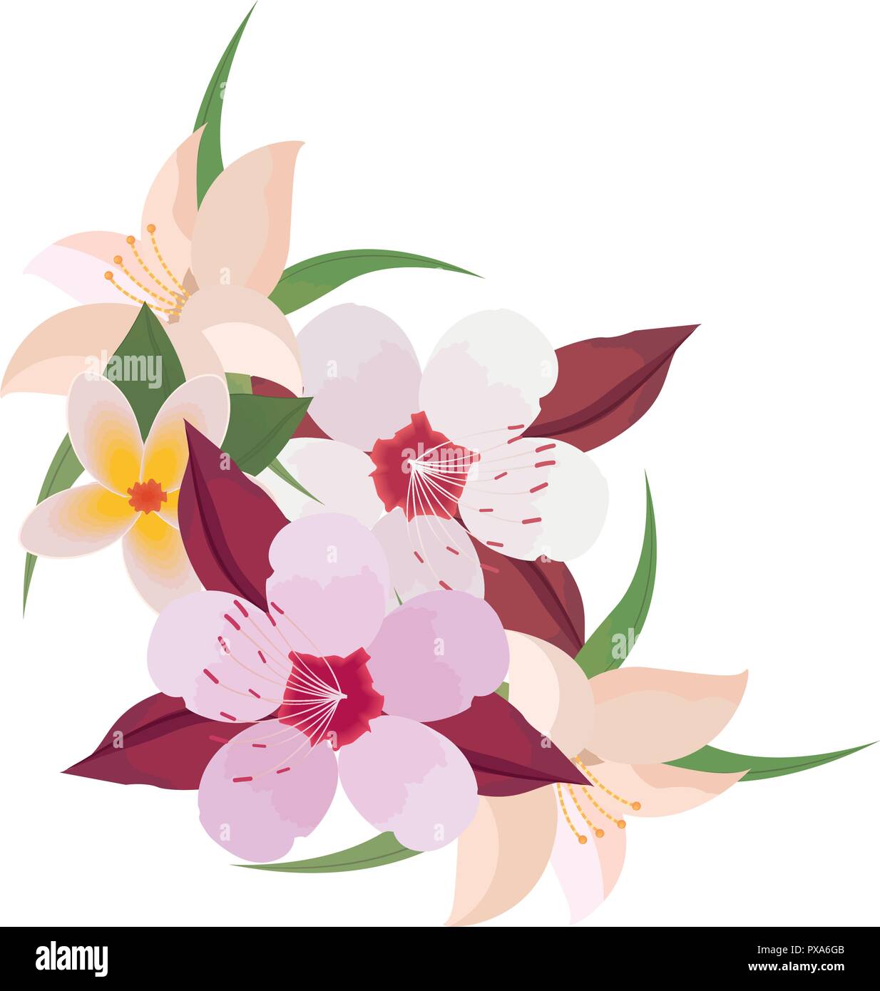 arrangement flowers leaves petal natural vector illustration Stock ...
