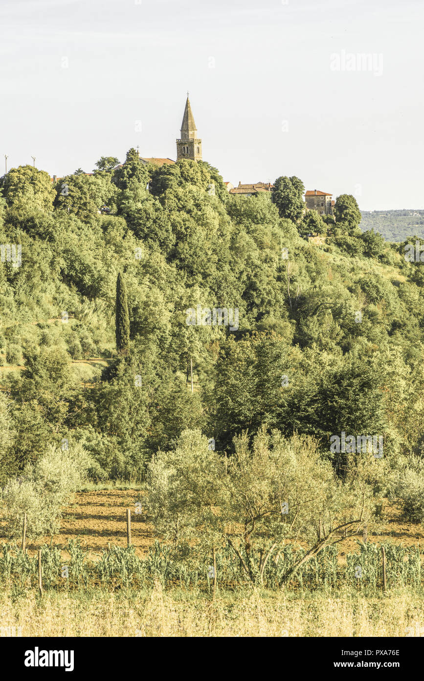 Groznjan Istria Croatia, Croatia, Istria, Groznjan Stock Photo - Alamy