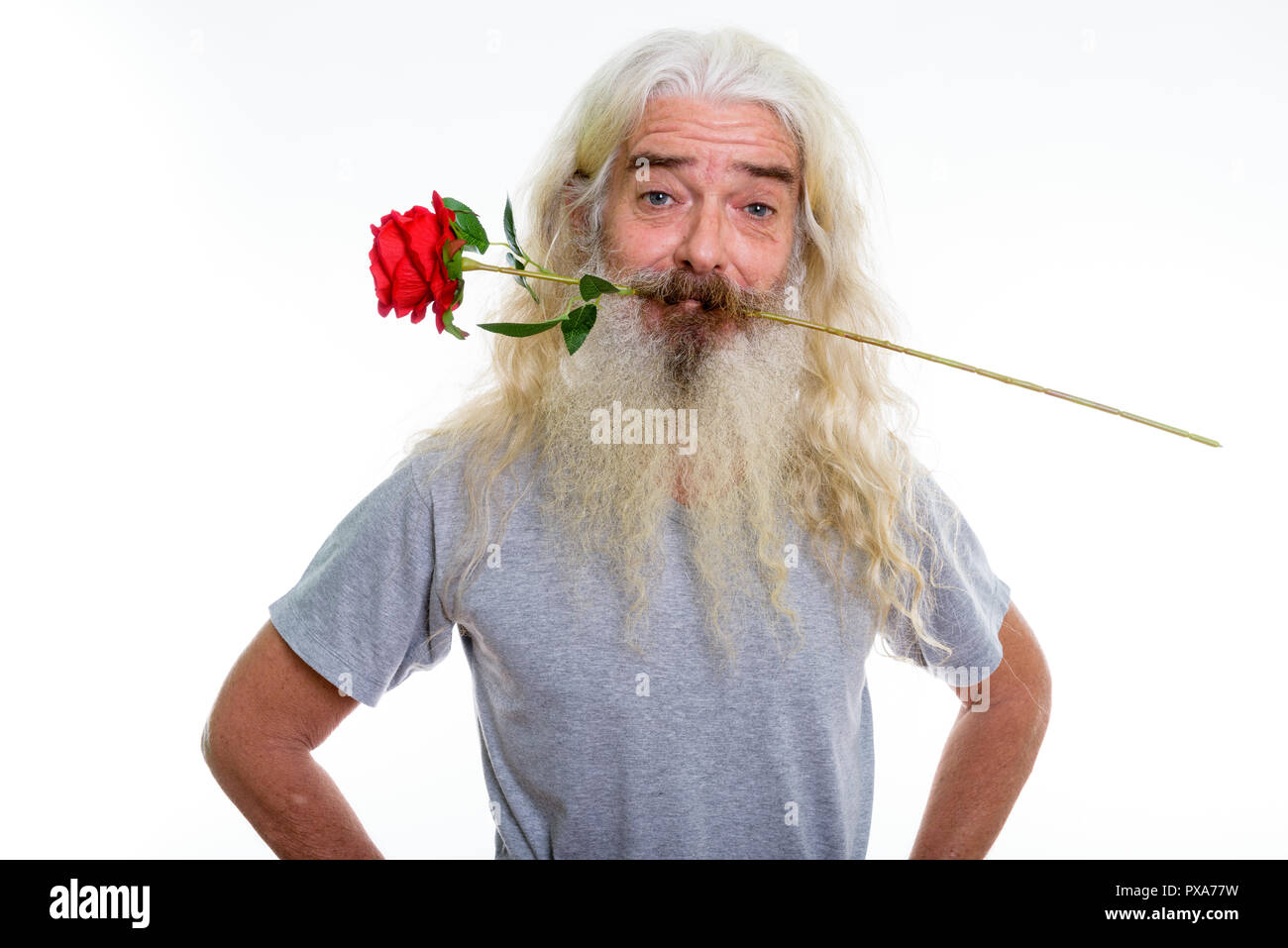 Man biting red rose hi-res stock photography and images - Alamy