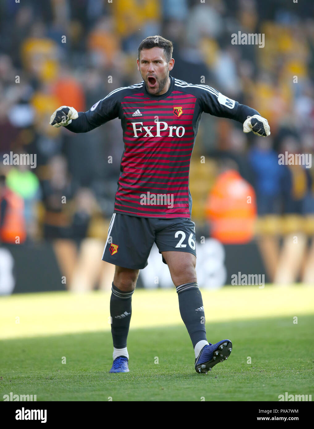 Watford Goalkeeper Ben Foster Celebrates High Resolution Stock ...