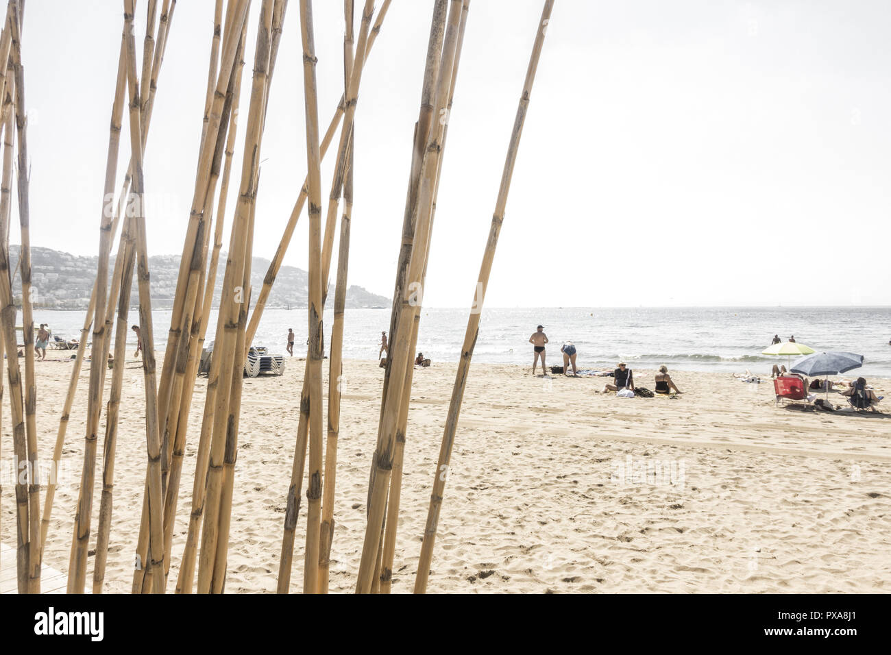 Roses spain costa brava hi-res stock photography and images - Alamy
