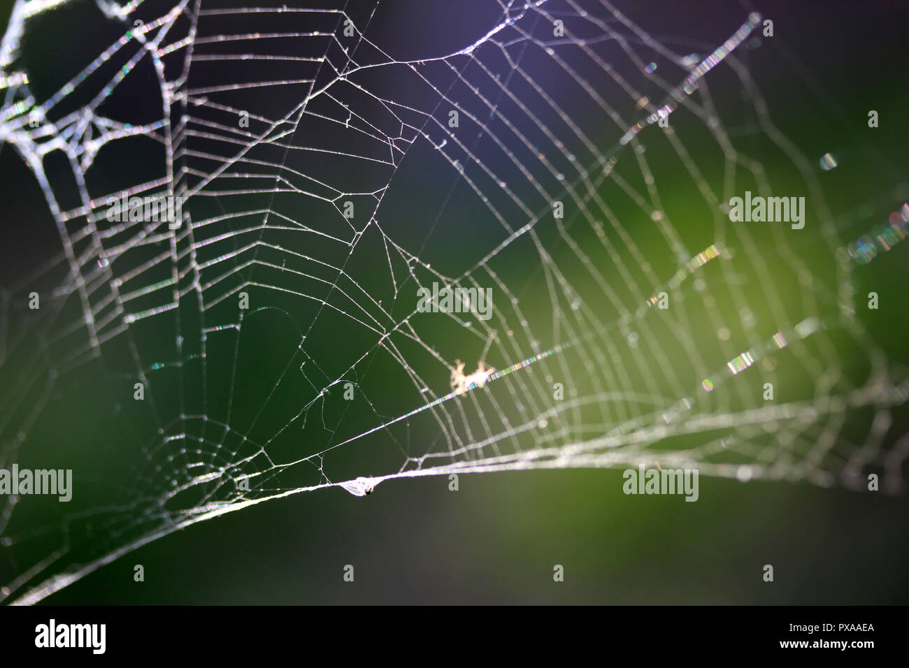 abstract spider web background Stock Photo - Alamy