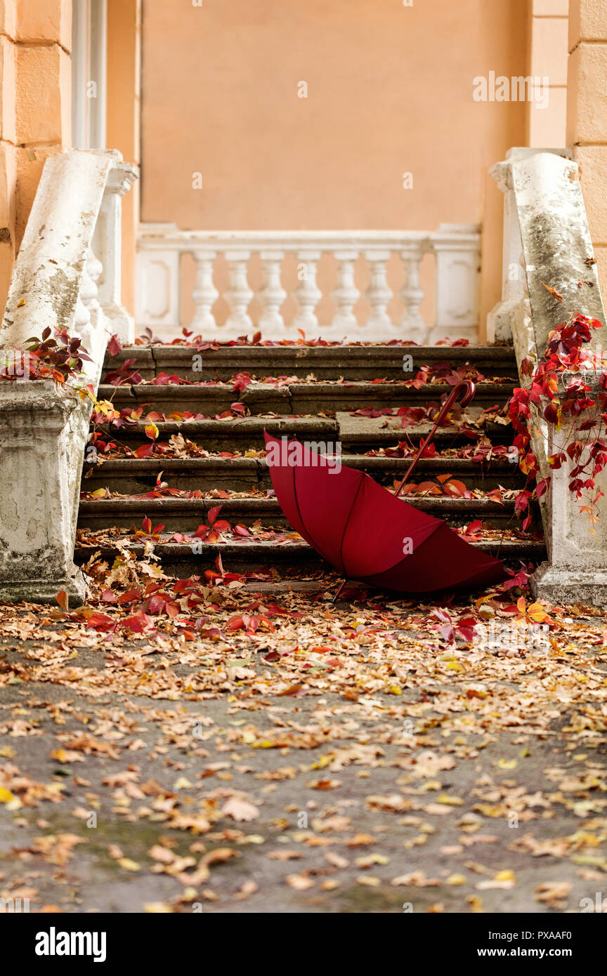 Autumn leaf fall. Red and yellow leaves on the destroyed old stone ...