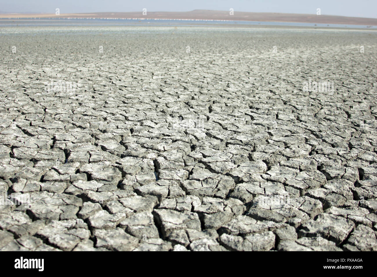 salt lakes and barren lands in Turkey Stock Photo - Alamy