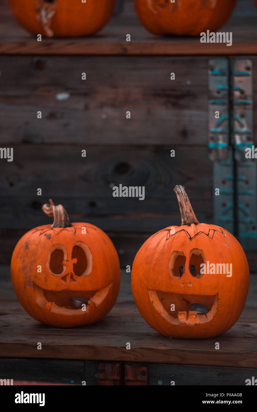 Halloween Pumpkin in an autumn still life carving and cutting in the ...