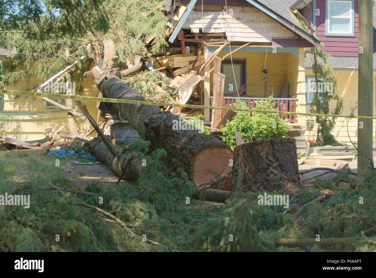 Environment environment hi-res stock photography and images - Alamy