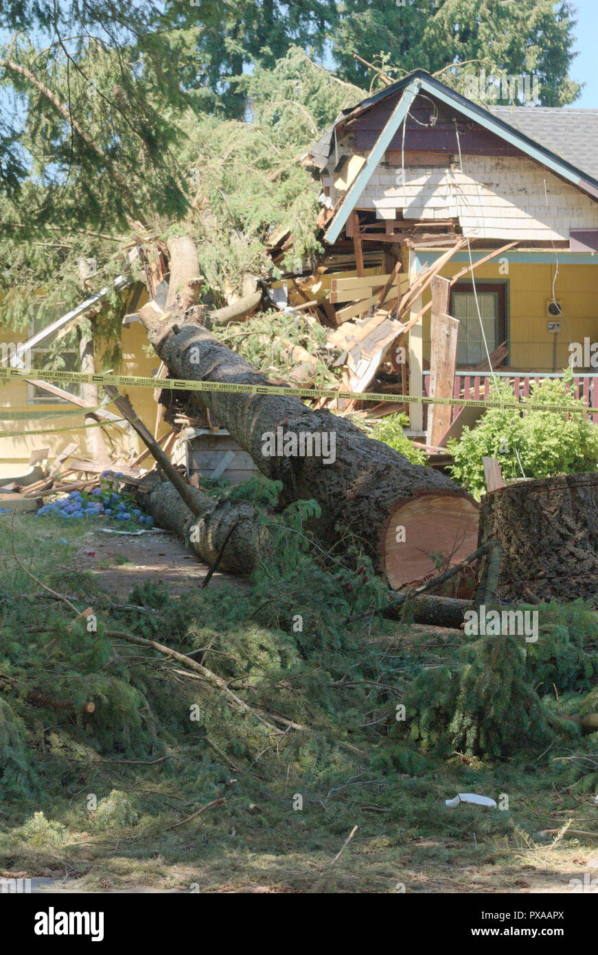 Tree falls on house in Surrey, British Columbia, Canada Stock Photo - Alamy
