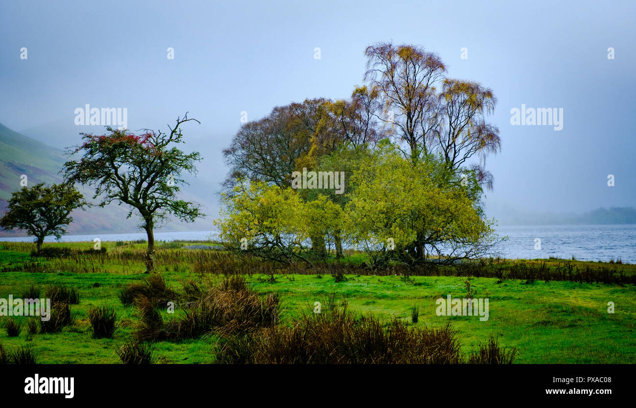 Ettrick valley hi-res stock photography and images - Alamy