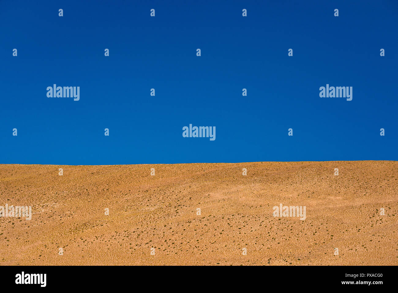 horizon line between the desert and the blue sky without clouds Stock ...