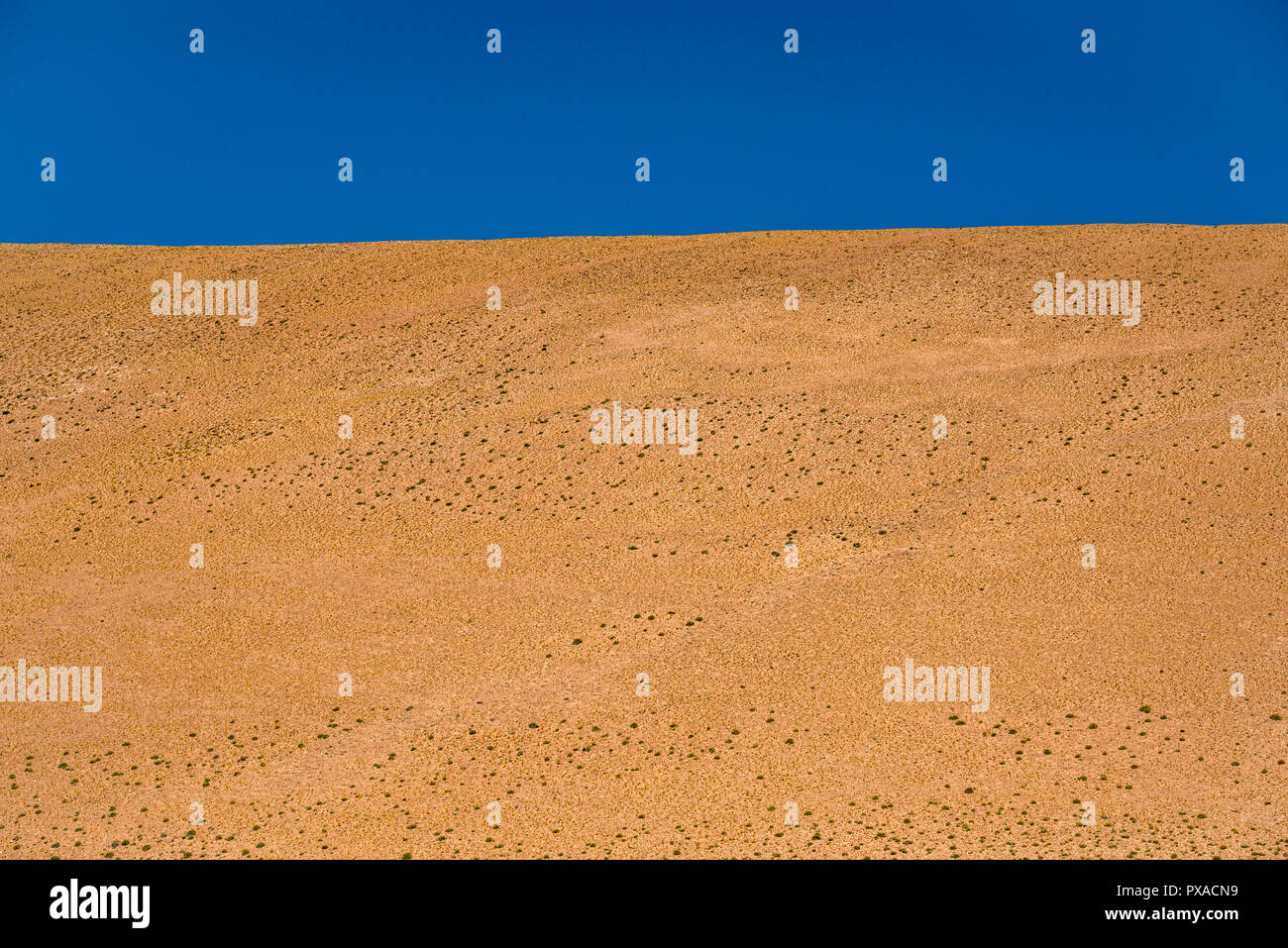 horizon line between the desert and the blue sky without clouds Stock ...