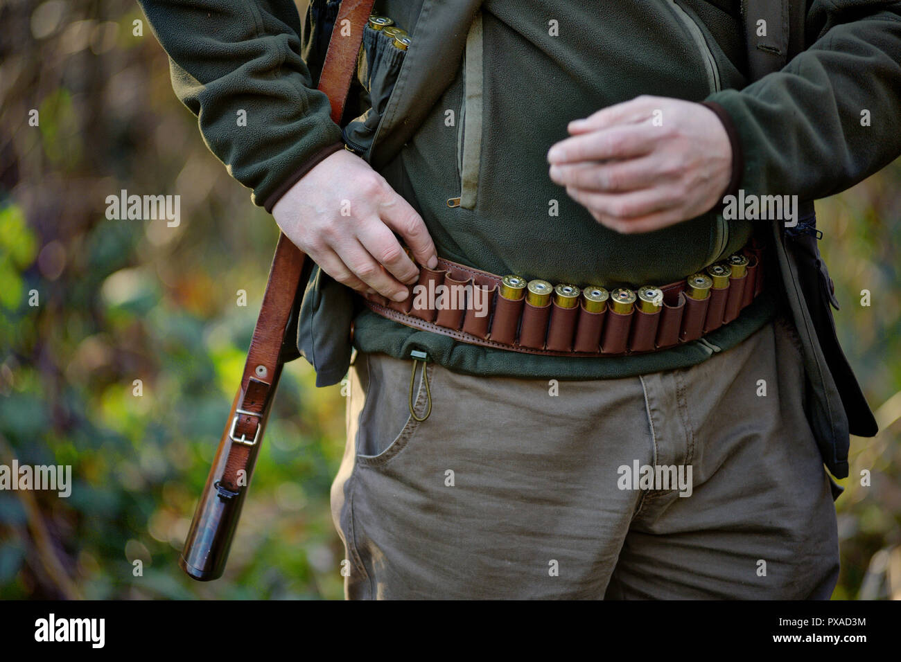 Hunter taking cartridges from belt to load his rifle Stock Photo - Alamy