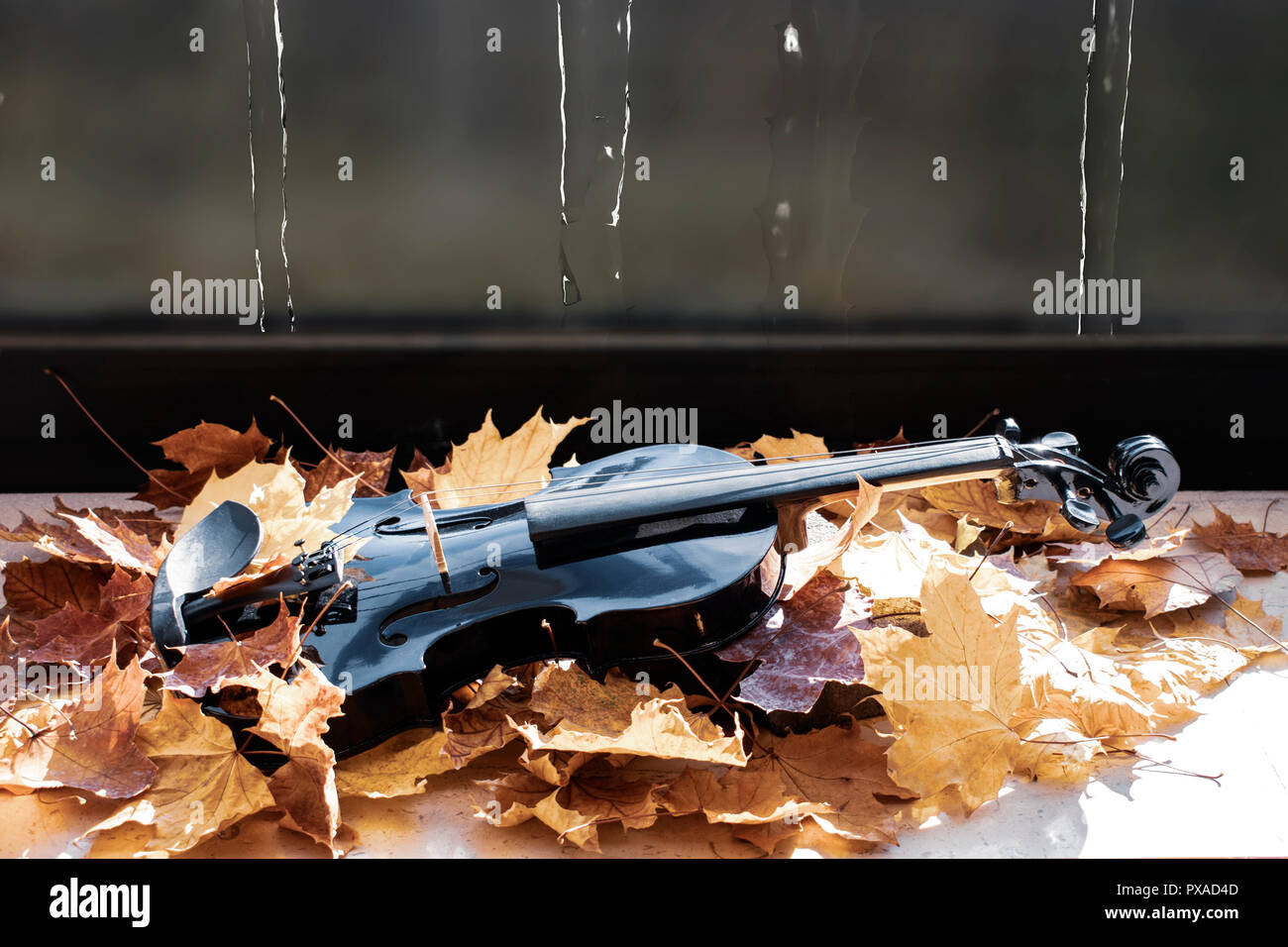 Autumn leaves on black water hi-res stock photography and images - Alamy