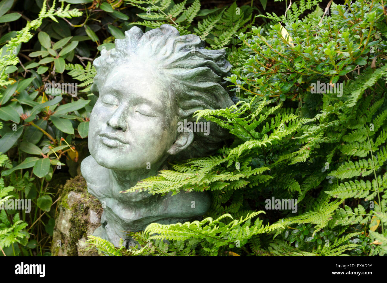 Face hidden hi-res stock photography and images - Alamy