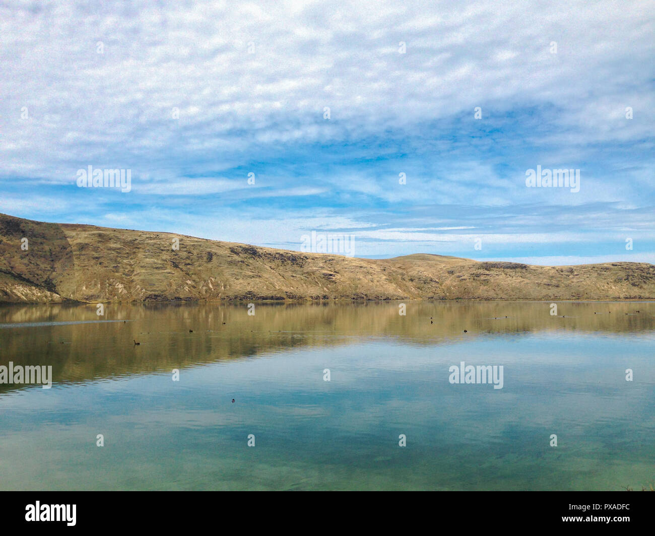 Lake Forsyth on Banks Peninsula, Canterbury, South Island, New Zealand ...