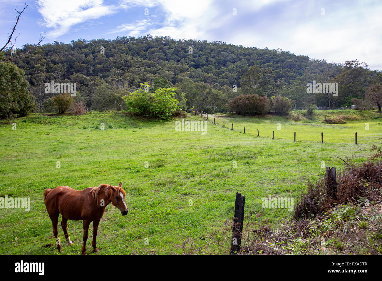 Regional countryside hi-res stock photography and images - Alamy