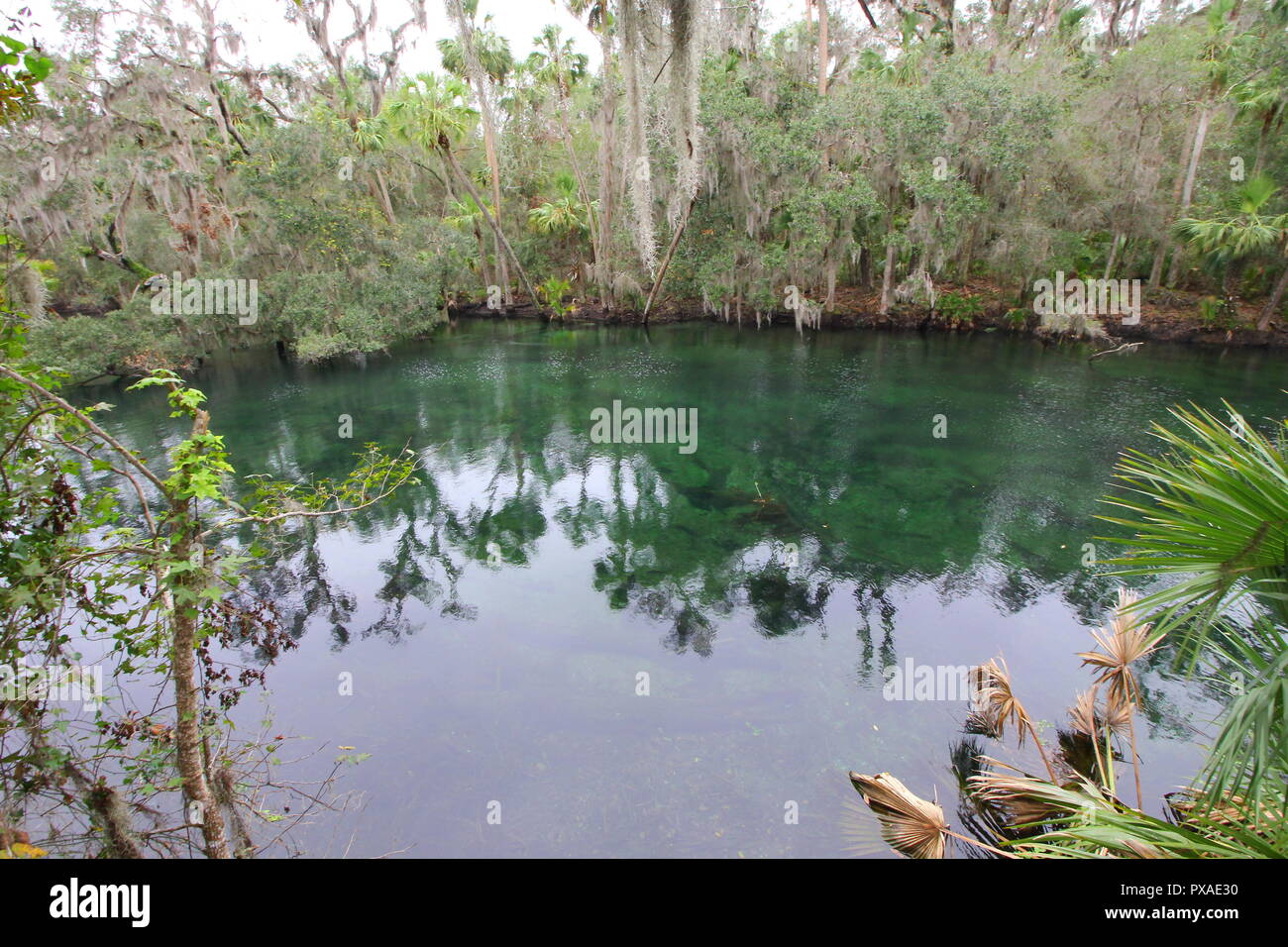 Blue Spring State Park, Florida Stock Photo - Alamy
