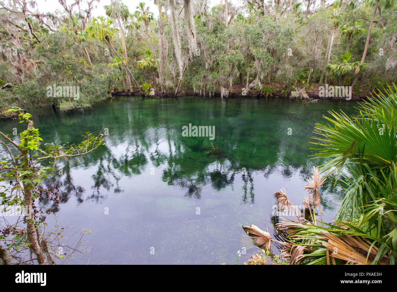 Blue Spring State Park, Florida Stock Photo - Alamy
