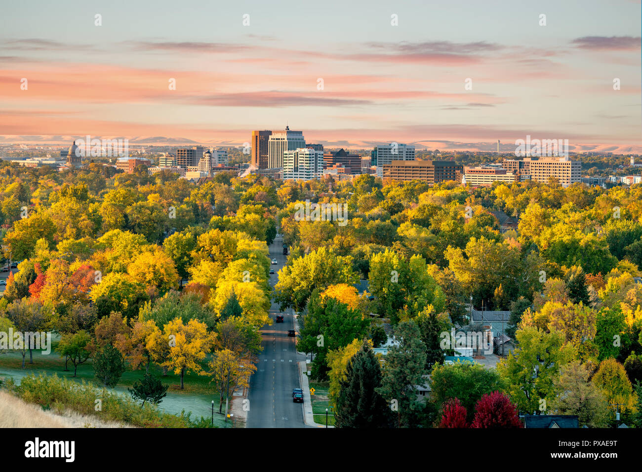 Fall colors in the city of trees Boise Idaho morning Stock Photo - Alamy
