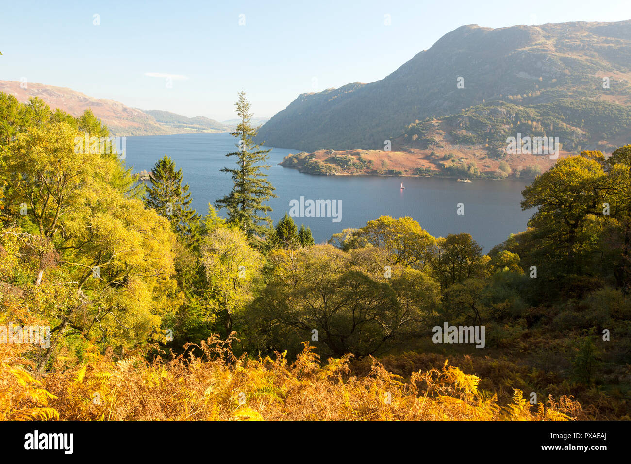 Ullswater from Sheffield Pike in the Lake District, UK Stock Photo - Alamy