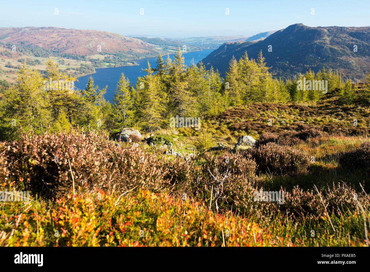 Ullswater from Sheffield Pike in the Lake District, UK Stock Photo - Alamy