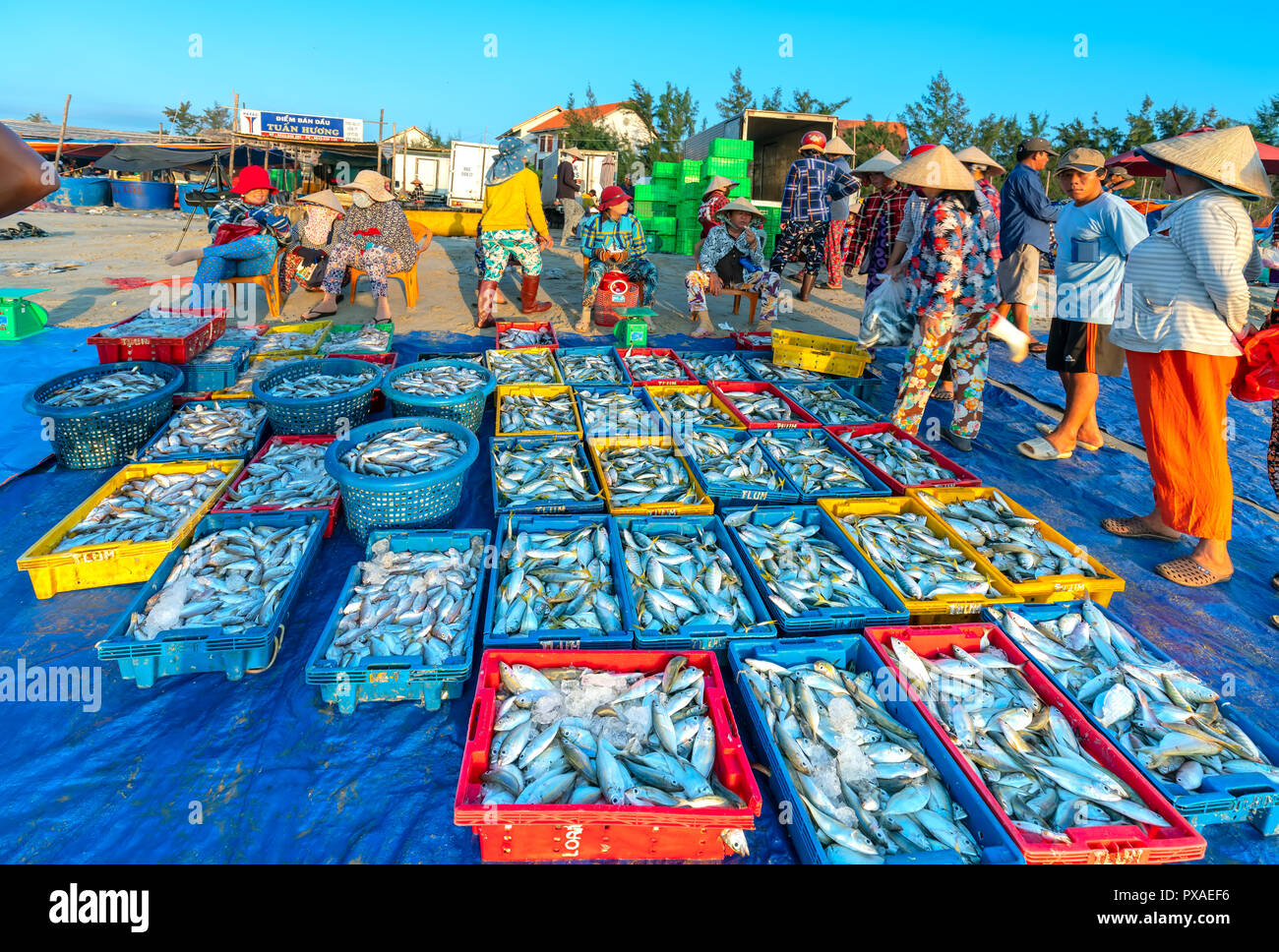 Fish market session seas scene people gathered inside basket fish sale ...