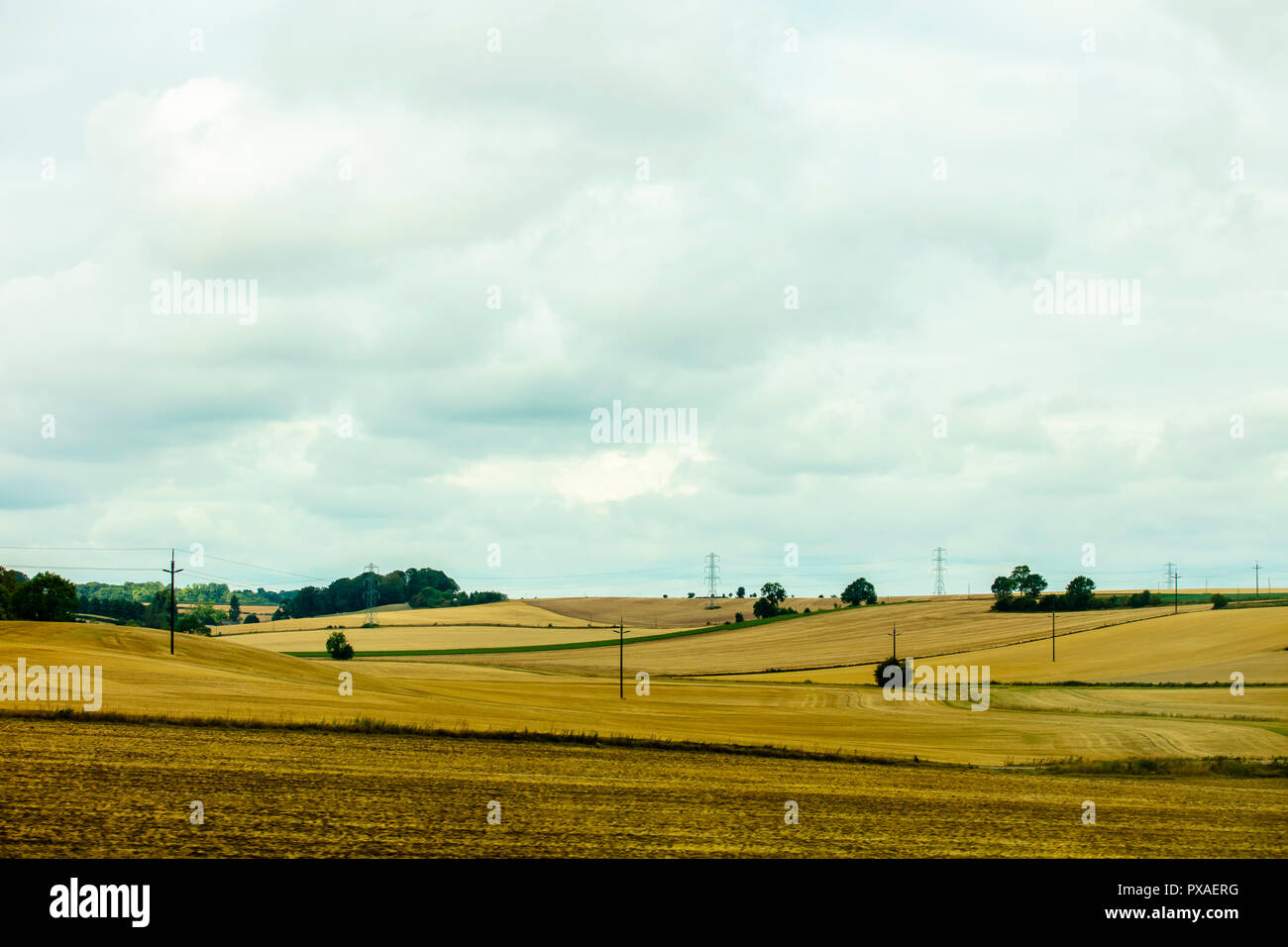 Pastoral farming hi-res stock photography and images - Alamy