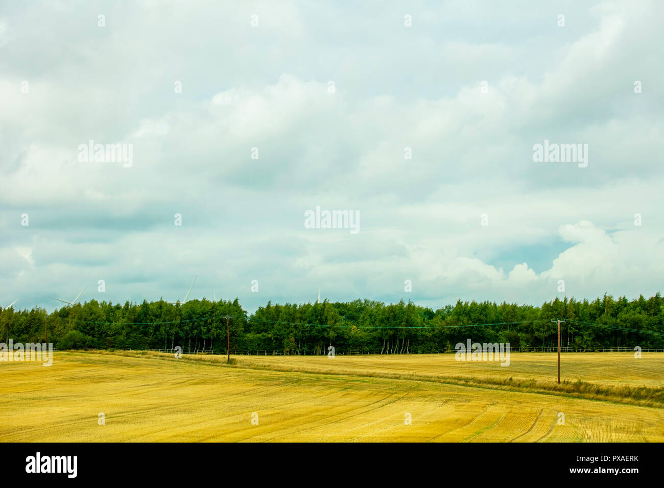 Pastoral farming hi-res stock photography and images - Alamy
