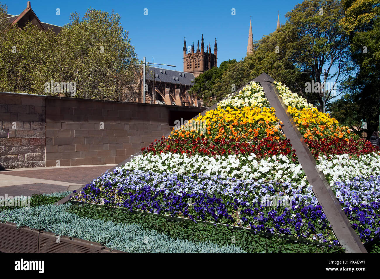 Sydney Australia, spring streetscape with colorful floral display of ...