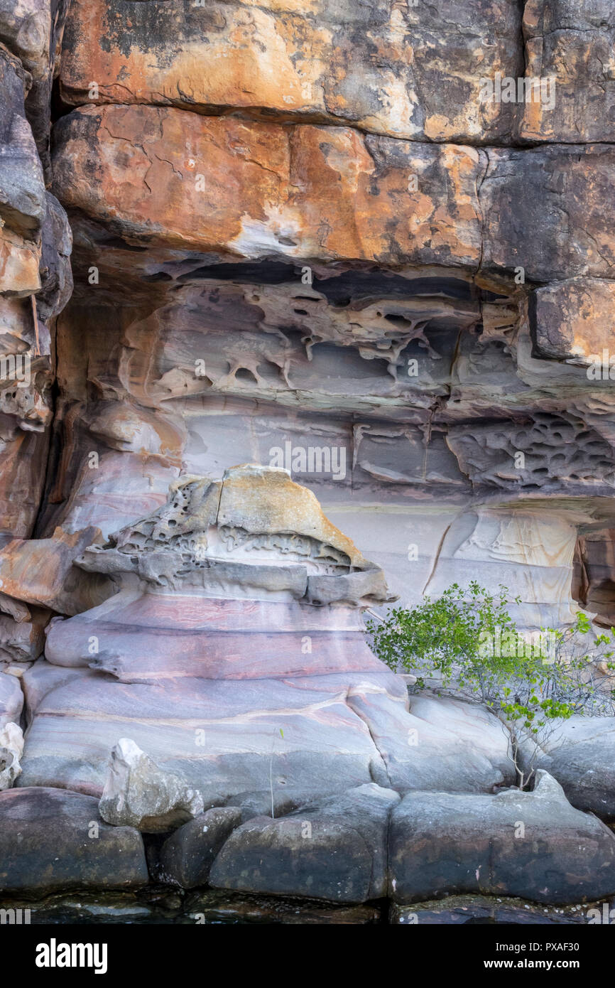 Wind and water erosion on sandstone cliffs near King George Falls, King ...