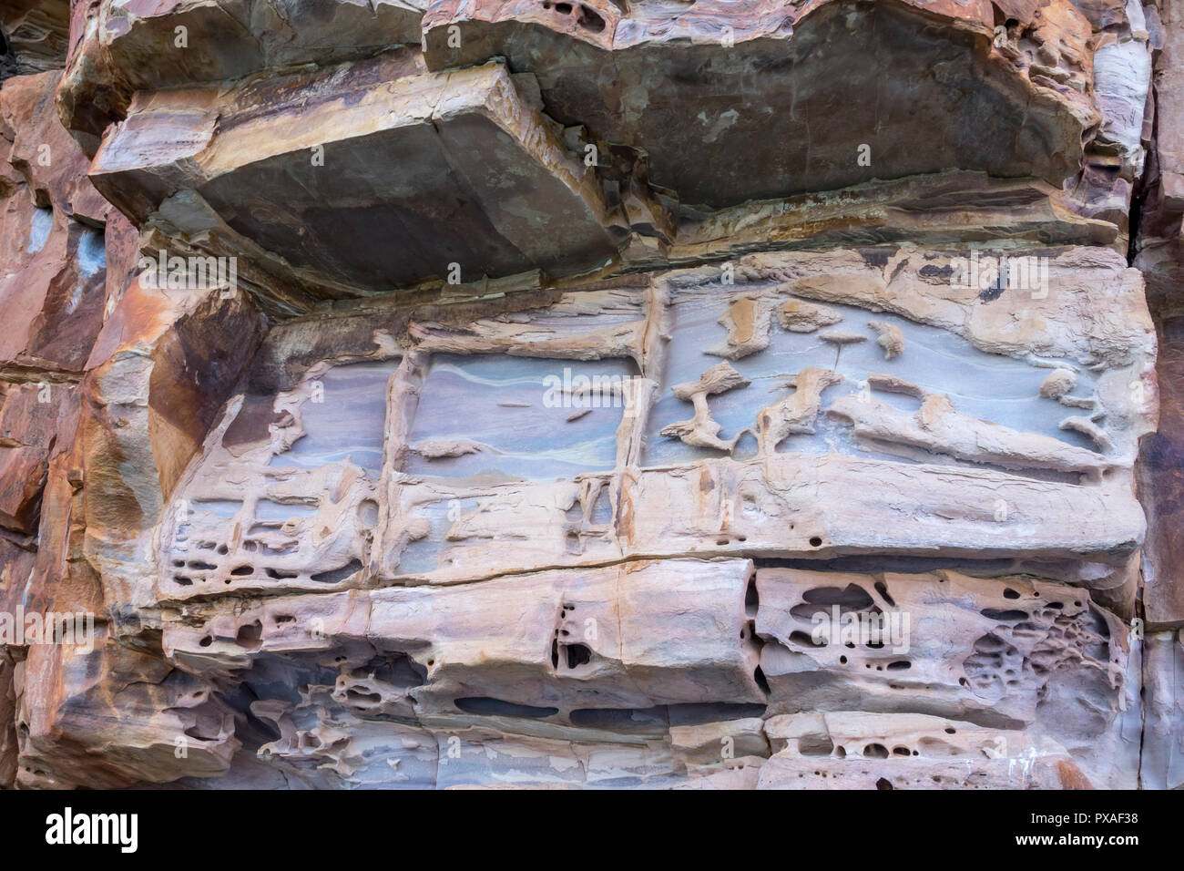 Wind and water erosion on sandstone cliffs near King George Falls, King ...