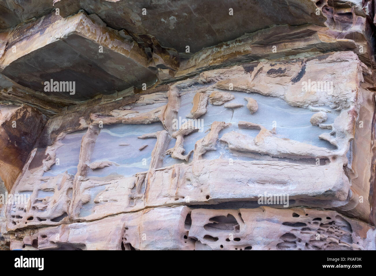 Wind and water erosion on sandstone cliffs near King George Falls, King ...