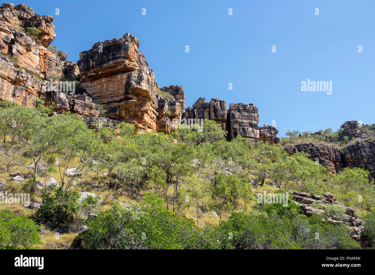 Vegetation and sandstone cliffs along the King George River, Western ...