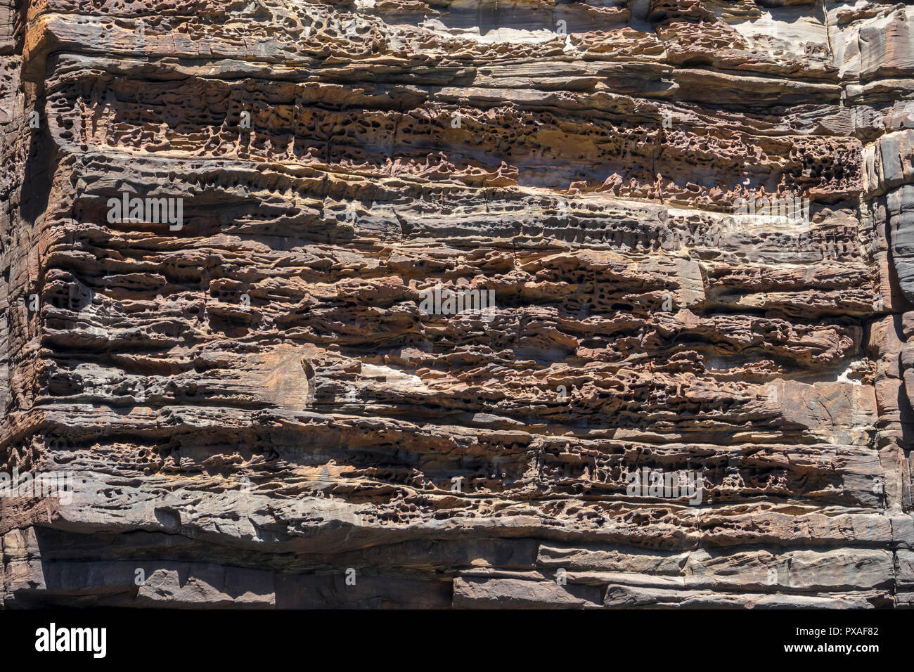 Wind and water erosion on sandstone cliffs near King George Falls, King ...
