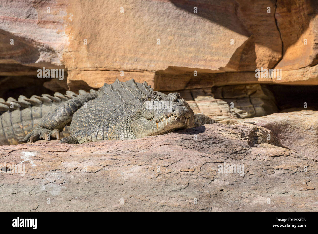 Sunbaking hi-res stock photography and images - Alamy