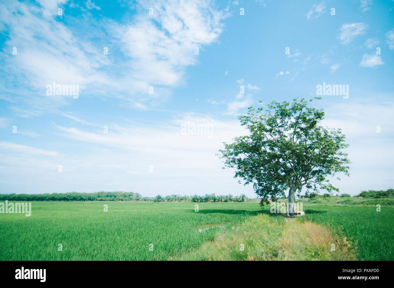 Temporary resting place hi-res stock photography and images - Alamy